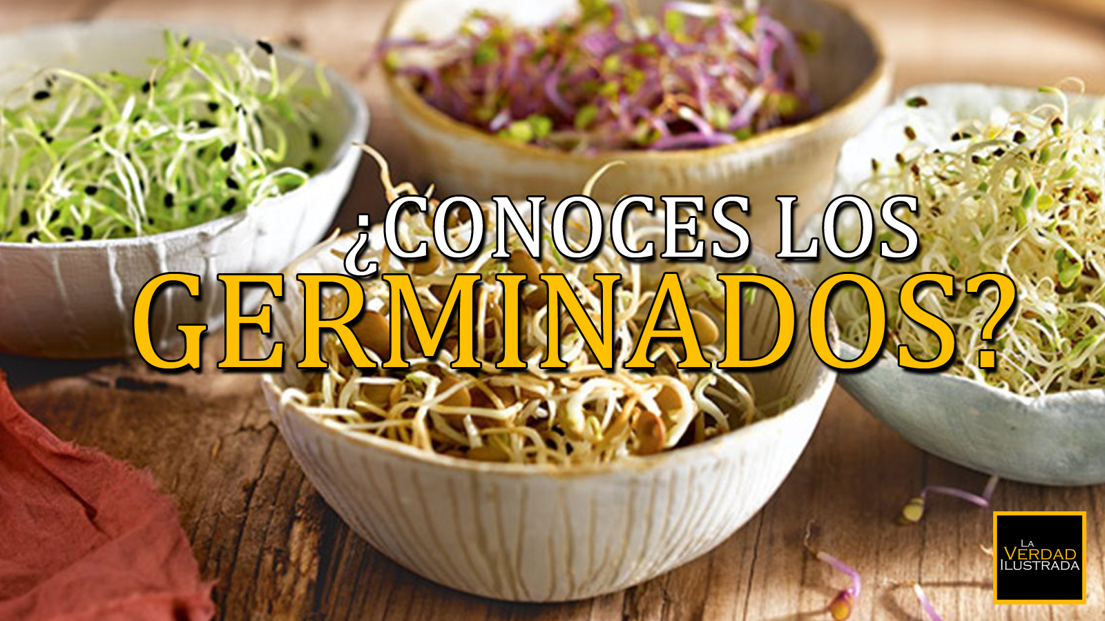¿Conoces los germinados? – La Verdad ilustrada